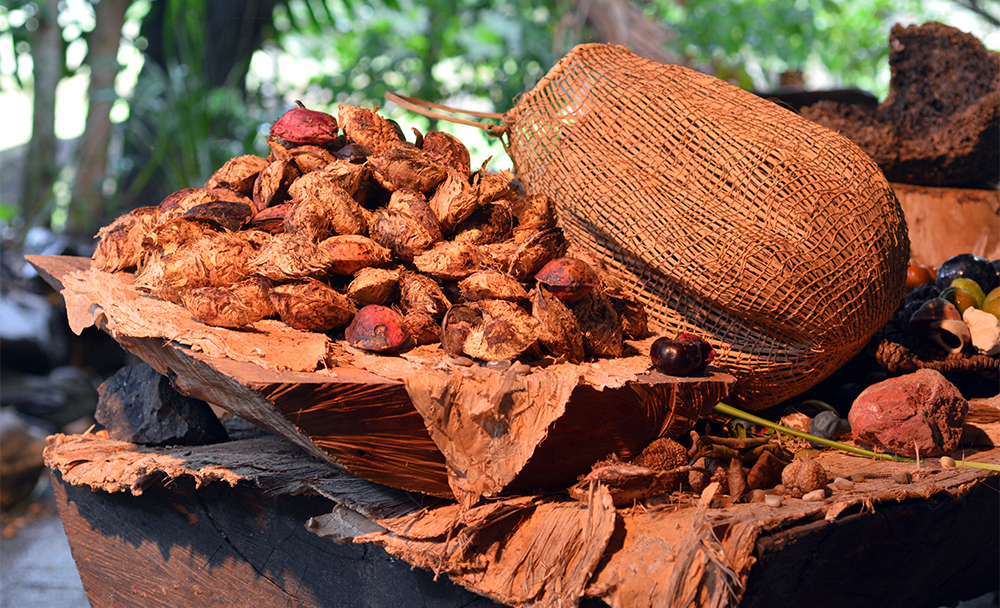 University of Sydney – Indigenous sustainability practices and ...
