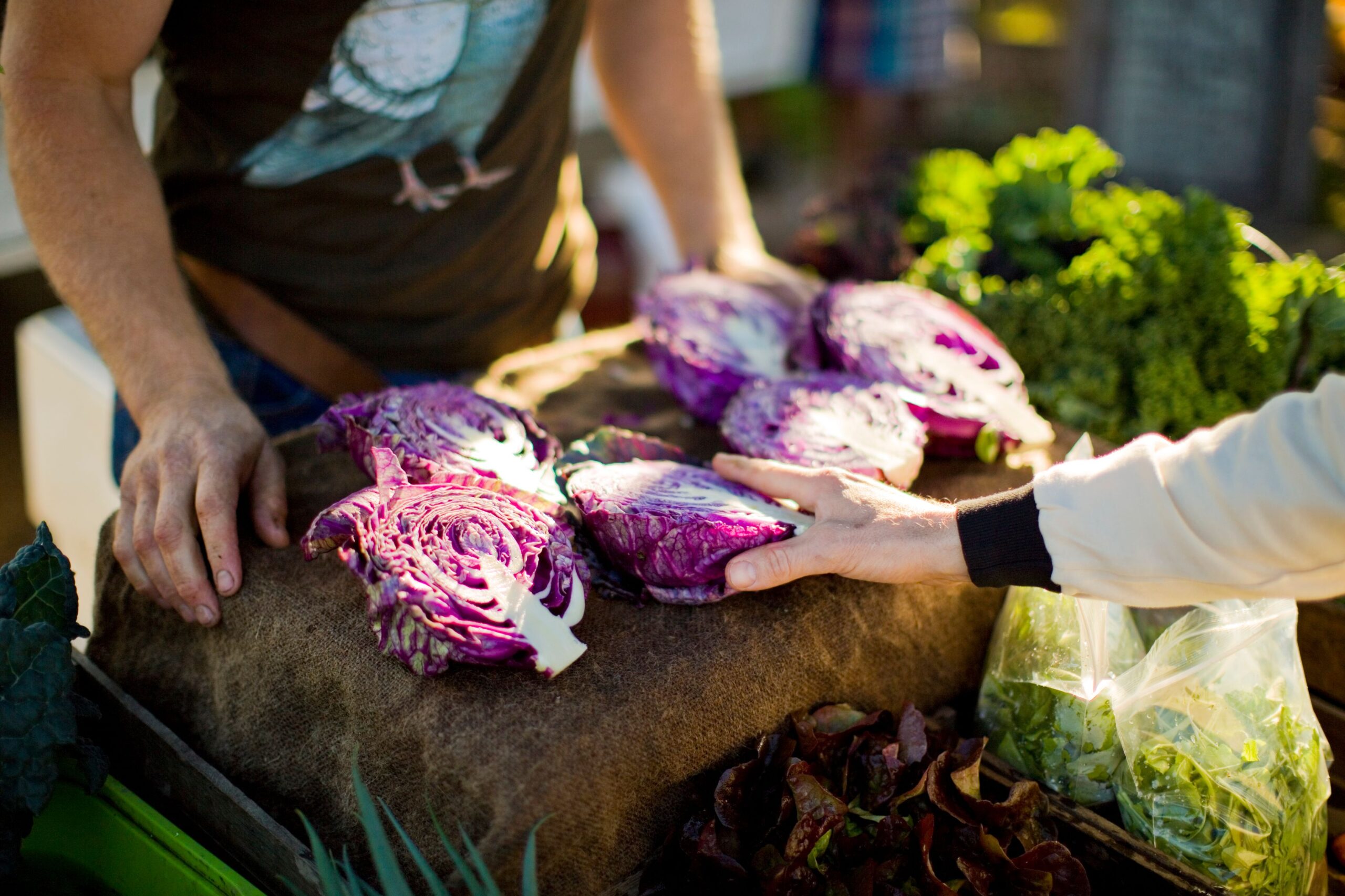 Eating less highly processed food | Food Fairness Illawarra