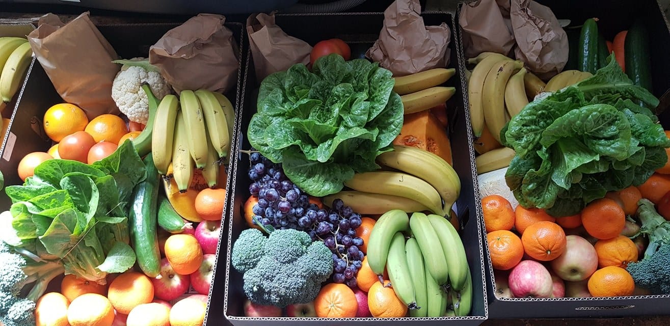 Avondale Organics | Food Fairness Illawarra