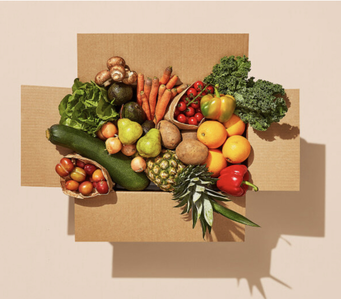 Avondale Organics | Food Fairness Illawarra Avondale Organics | Food Fairness Illawarra