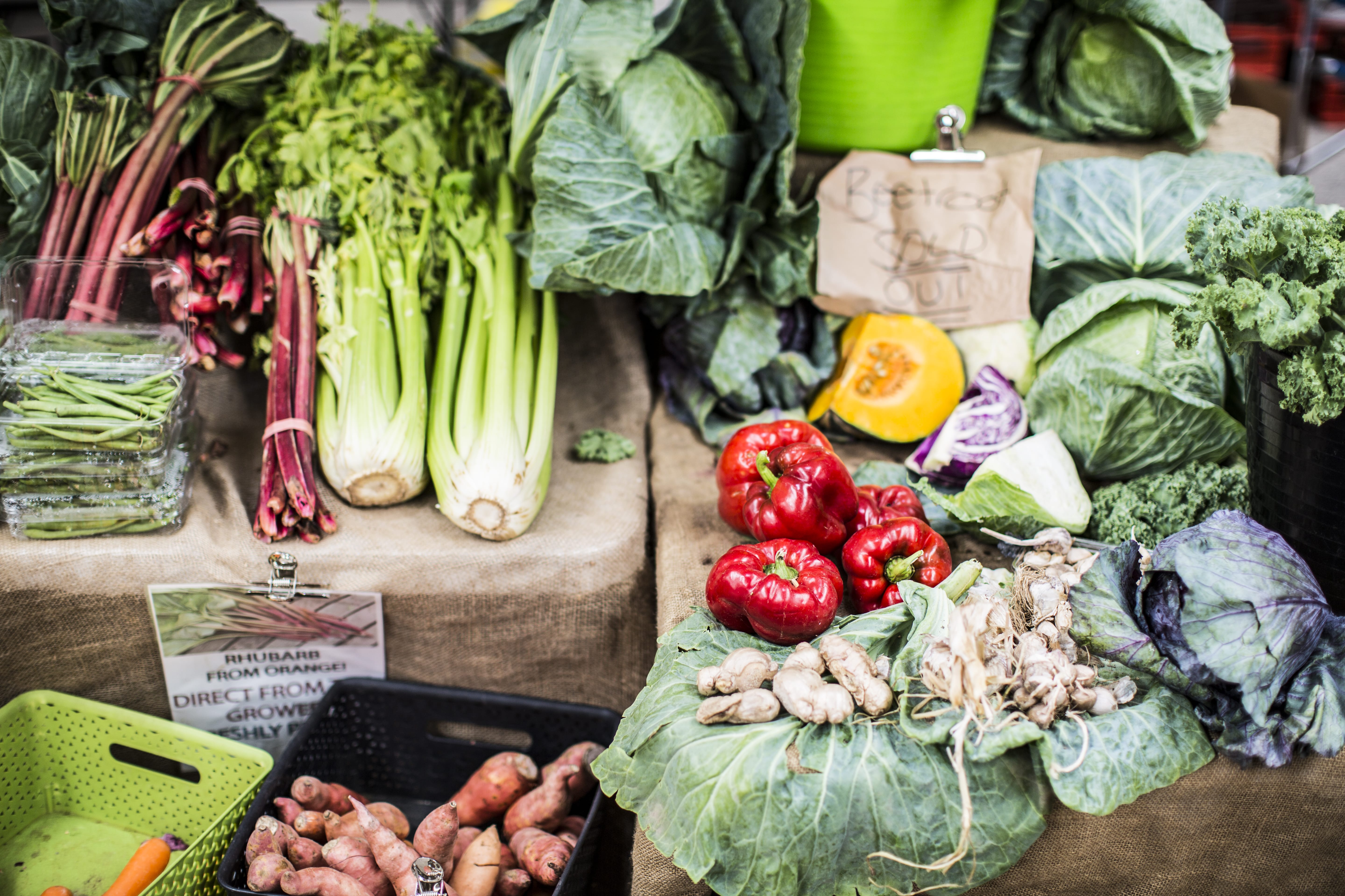 Friday Forage | Food Fairness Illawarra