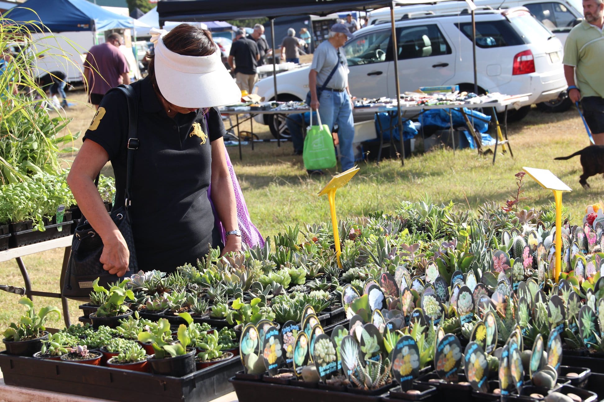 Warrawong Markets | Food Fairness Illawarra