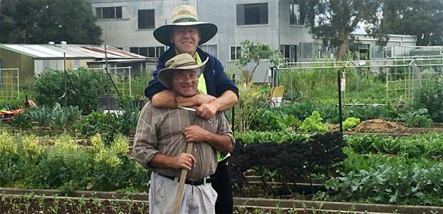 Dapto Community farm | Food Fairness Illawarra
