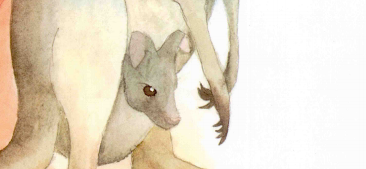 The Time of Burran – Gadalung Marool | Food Fairness Illawarra