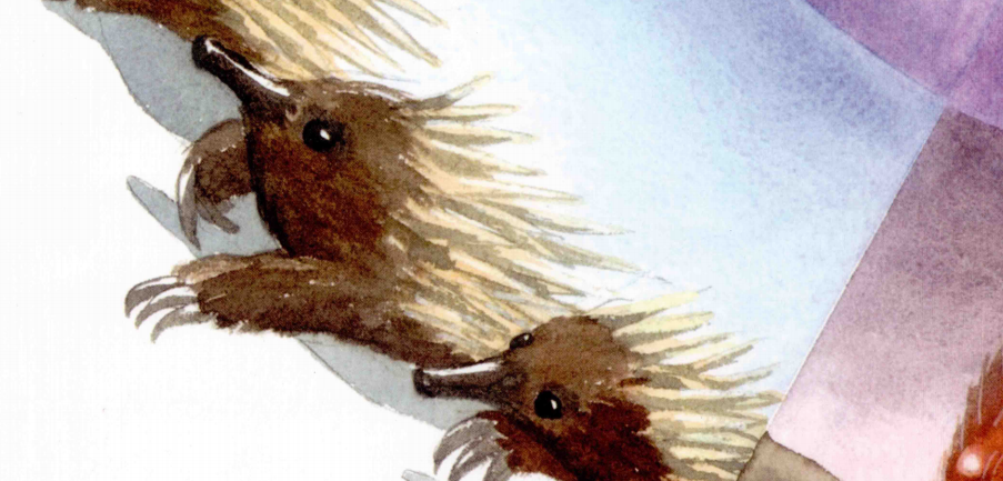 The Time of Burrugin – Tugarah Tuli | Food Fairness Illawarra