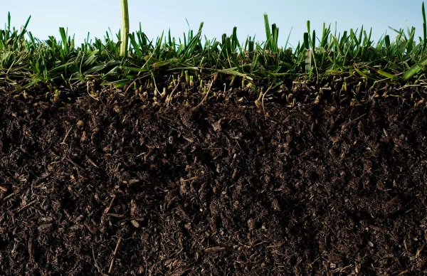 Building Healthy Soil | Food Fairness Illawarra