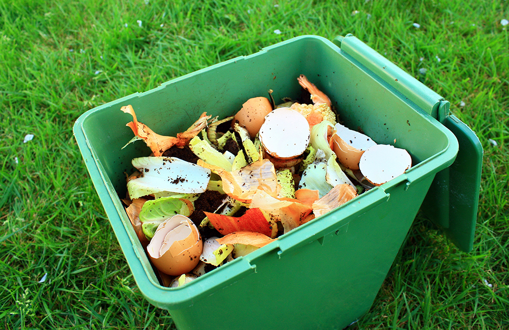 Composting 101 | Food Fairness Illawarra