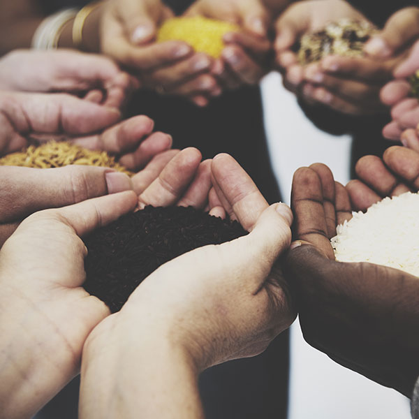 Calling for the right to food in the Federal Election | Food Fairness ...